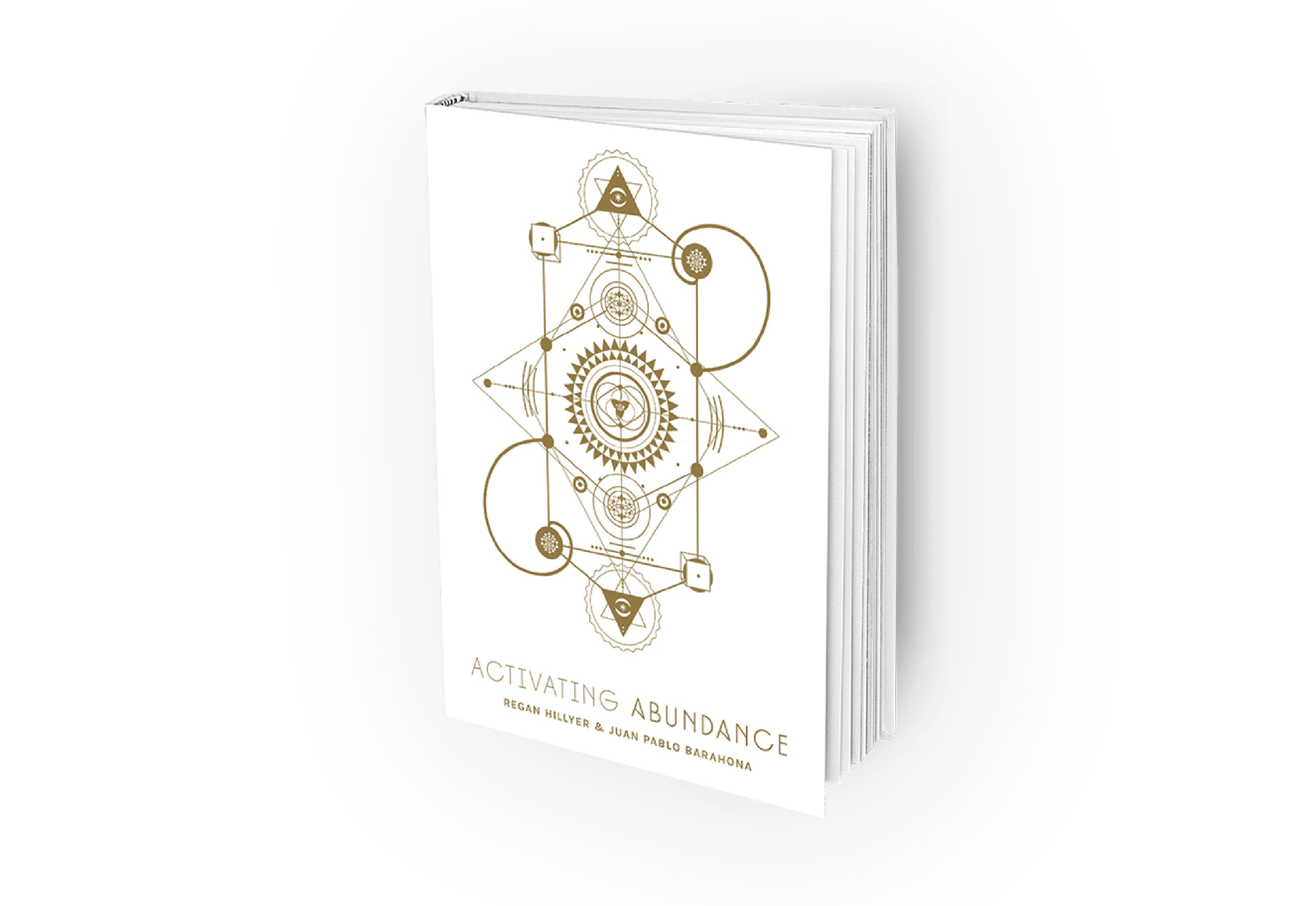Activating Abundance Book – Regan Hillyer